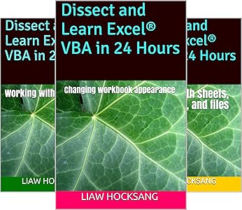 Dissect and Learn Excel VBA in 24 Hours: